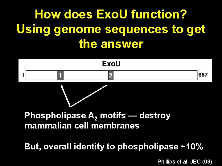 Molecular interactions between hosts and pathogens Partho Ghosh
