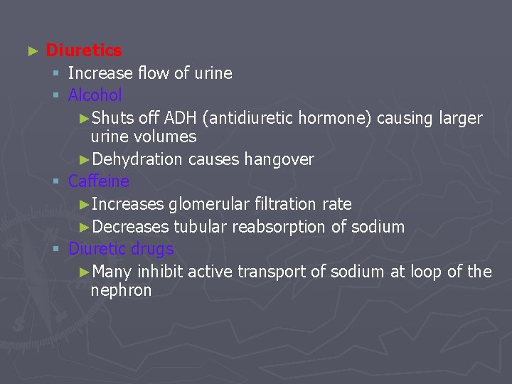 Excretory System Blood Pressure Hormones Blood Pressure Regulation
