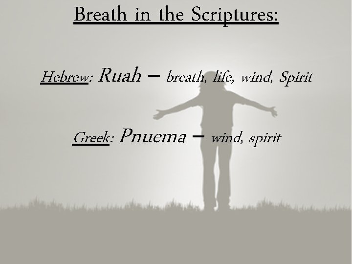 WholePerson Discipleship Therefore I urge you brothers and