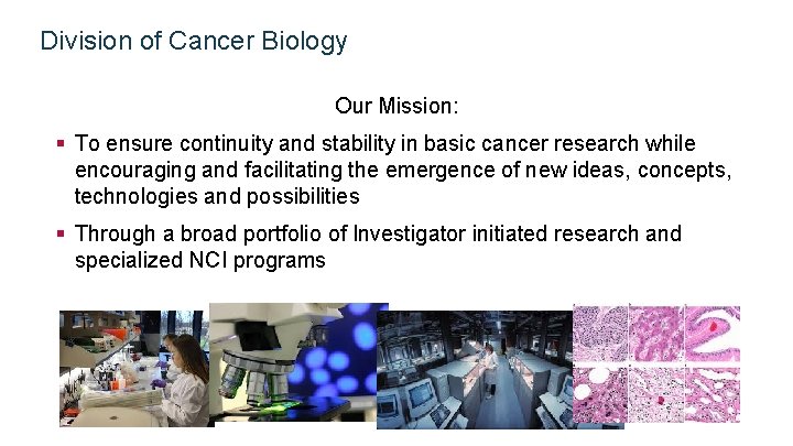 Division of Cancer Biology Presented By Dan Gallahan