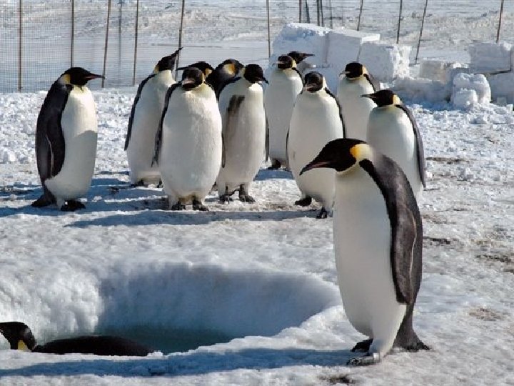 Fonteimagens Photomix 7 aut kpvlts Formatao clicar Abenoados