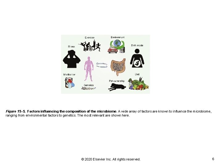 Chapter 15 The Microbiome 2020 Elsevier Inc All