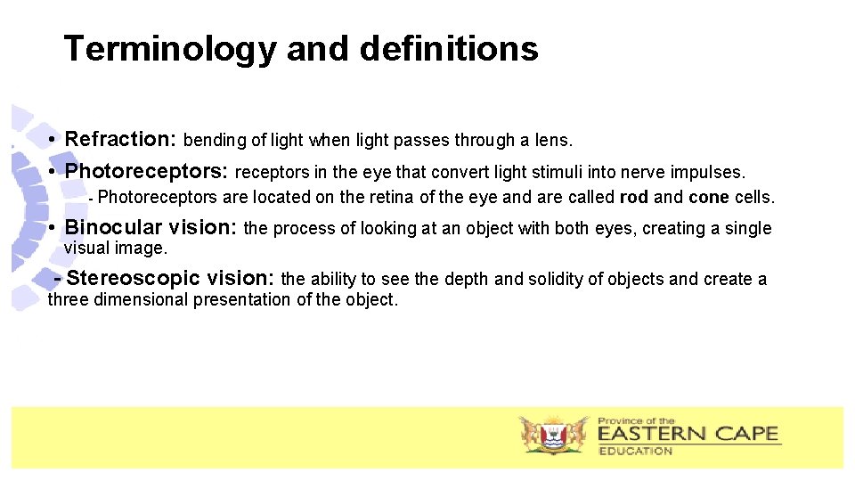 EYE STRUCTURE AND FUNCTION SUBJECT LIFE SCIENCES LEAD