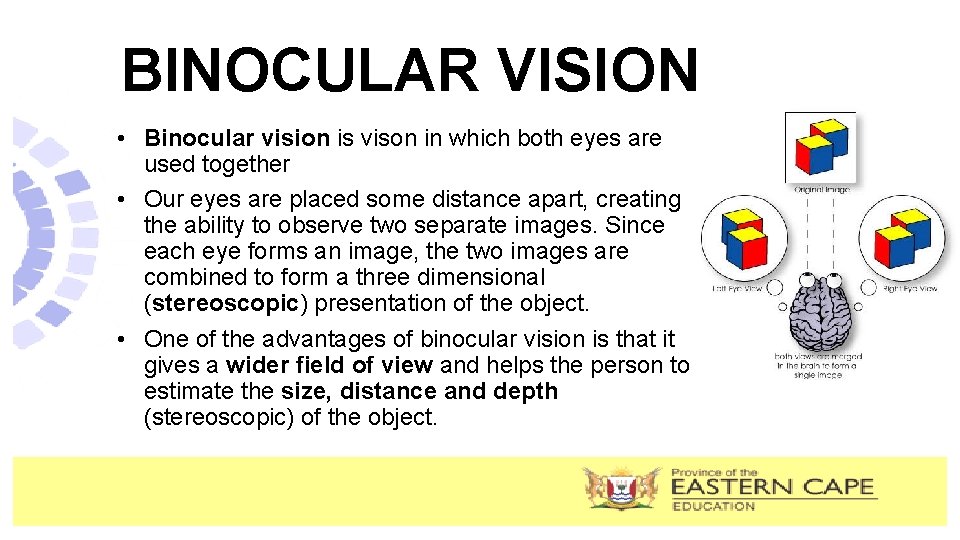 EYE STRUCTURE AND FUNCTION SUBJECT LIFE SCIENCES LEAD
