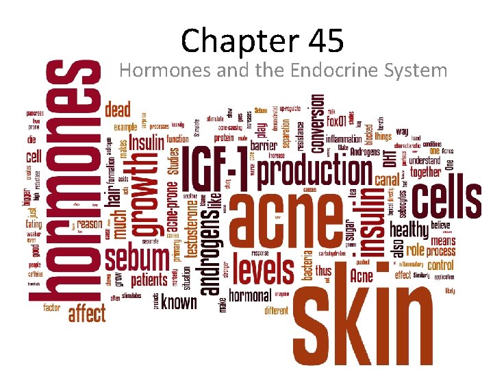 Chapter 45 Hormones and the Endocrine System Receptor