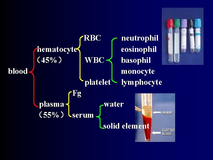laboratory diagnostics RBC hematocyte 45 WBC blood platelet