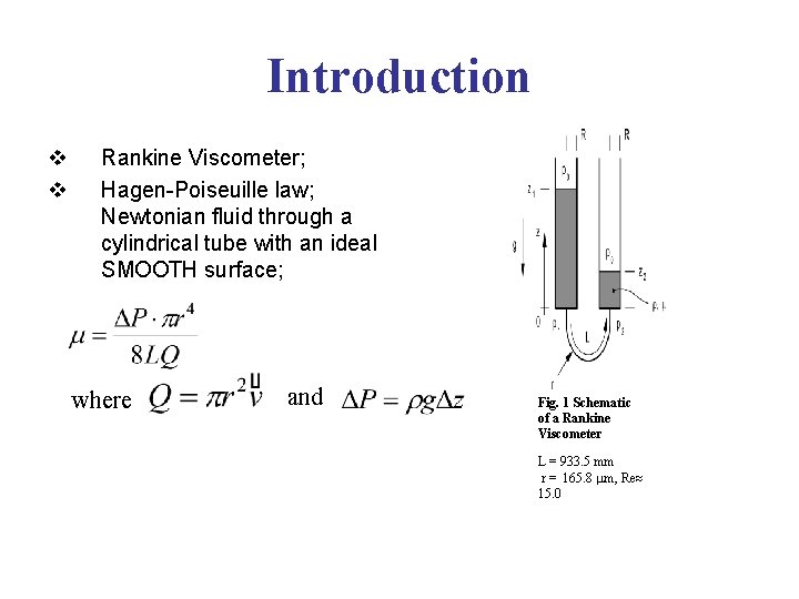 Numerical Analysis of Roughness Effects on Rankine Viscosity