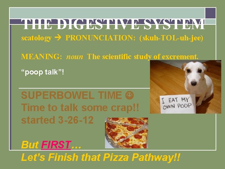 THE DIGESTIVE SYSTEM scatology PRONUNCIATION skuhTOLuhjee MEANING noun