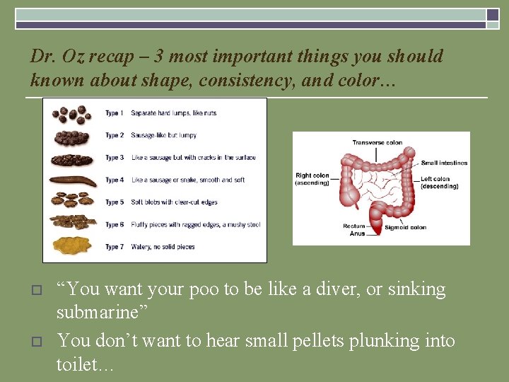 THE DIGESTIVE SYSTEM scatology PRONUNCIATION skuhTOLuhjee MEANING noun