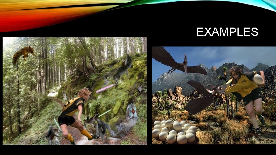 USING LAYERS IN PHOTOSHOP ELEMENTS 8 WHY USE