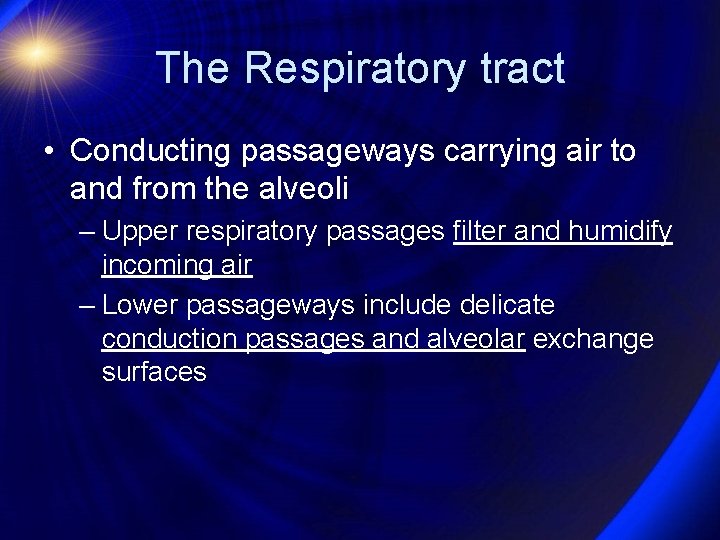 The Respiratory System The Respiratory tract Conducting passageways