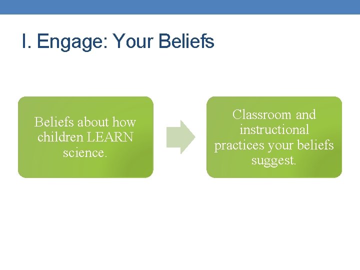 BELIEFS PRACTICES CRITIQUING SCIENCE INSTRUCTIONAL GUIDES ED 325