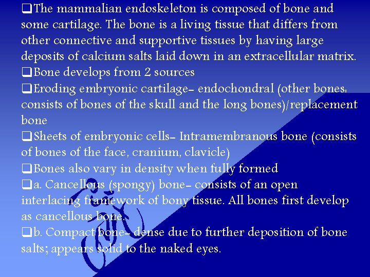 ZOO 112 The Mammalian Body Skeletal and Muscular