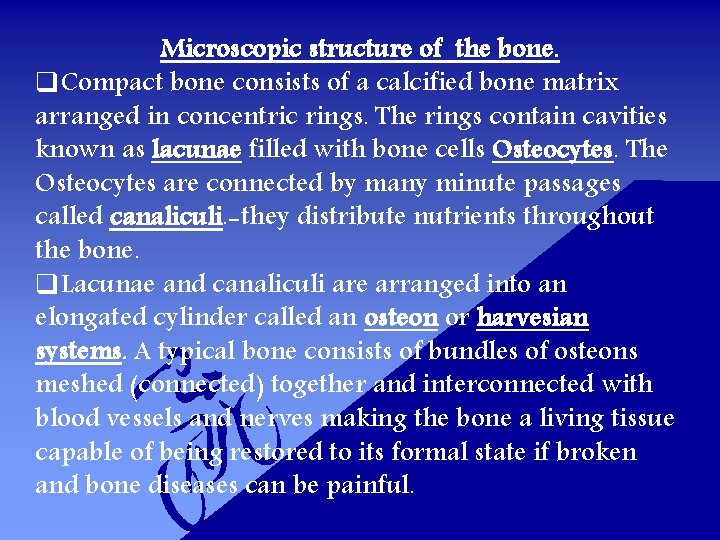 ZOO 112 The Mammalian Body Skeletal and Muscular