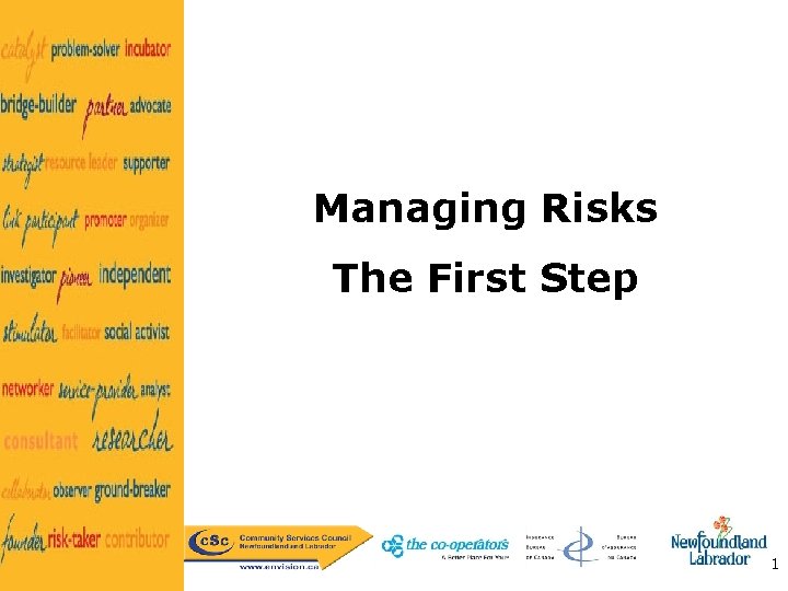 Managing Risks The First Step 1 The Role