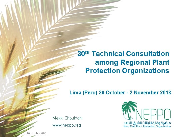 30 th Technical Consultation among Regional Plant Protection