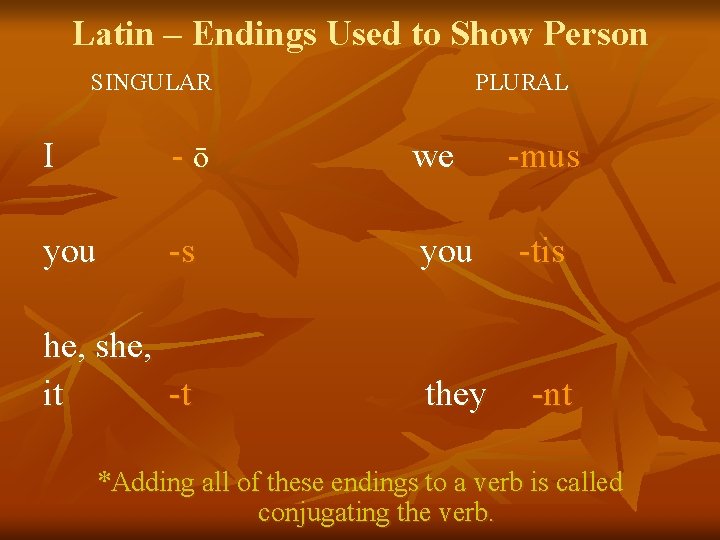 Chapter 3 Grammar VERBS What Do I Need