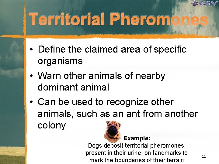 1 Objectives 1 To assess the importance of