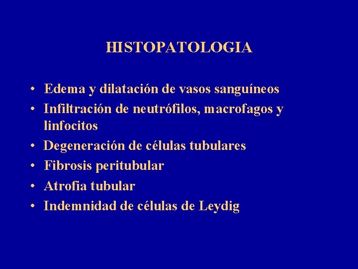 PATOLOGIA GENITAL EPIDIDIMITIS AGUDA El ms comn de