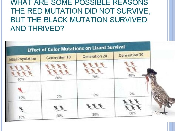 EVOLUTION OF POPULATIONS Objectives 12 1 Identifying ways