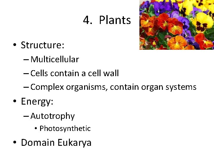 Chapter 17 Organizing Lifes Diversity Classification Classification ...