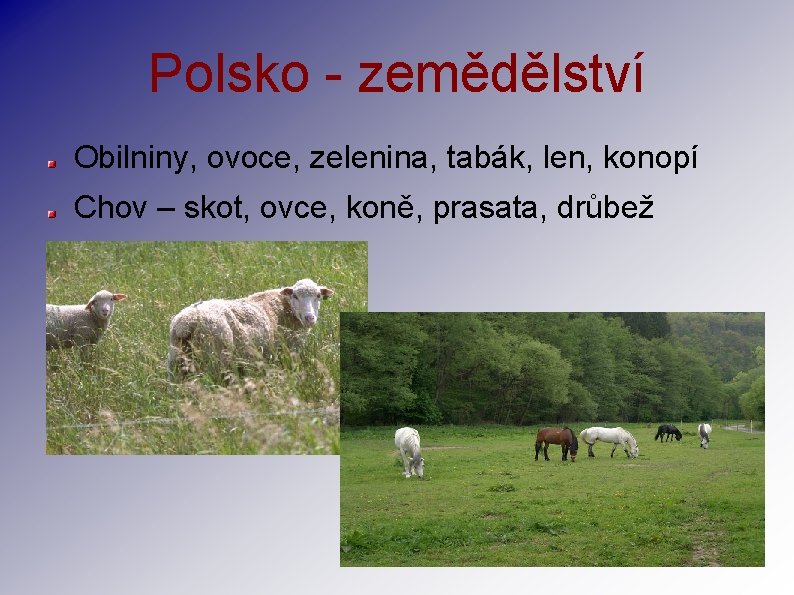 Polsko Centrum pro virtuln a modern metody a