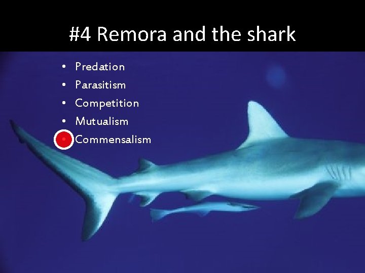 Biodiversity Importance Value 6 a What is Biodiversity