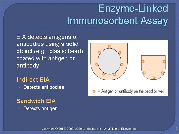 Chapter 13 Testing of Donor Blood Objectives List