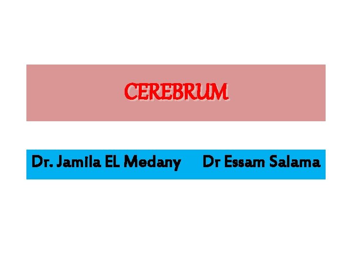 CEREBRUM Dr Jamila EL Medany Dr Essam Salama