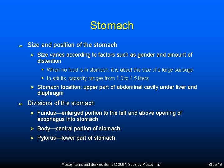 Chapter 25 Anatomy of the Digestive System Mosby