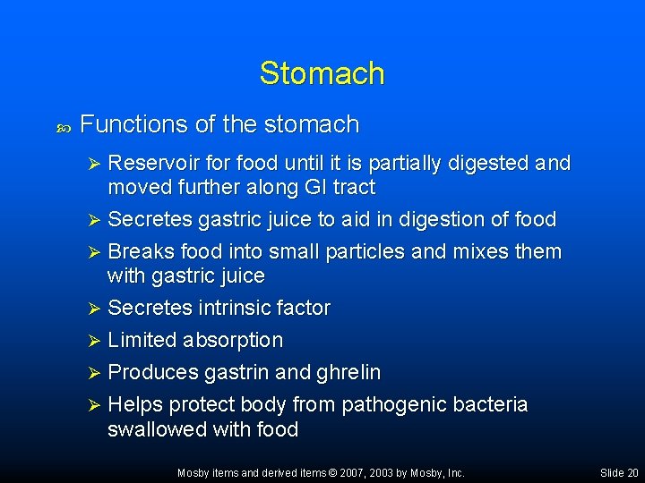 Chapter 25 Anatomy of the Digestive System Mosby