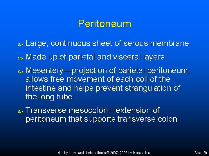Chapter 25 Anatomy of the Digestive System Mosby