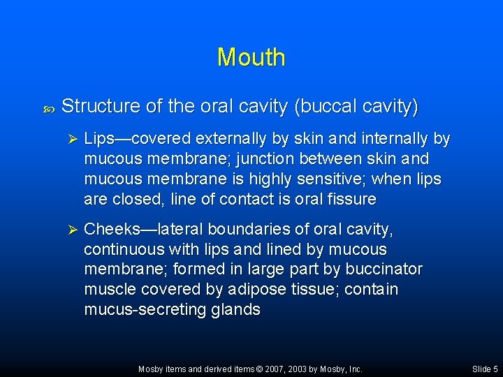 Chapter 25 Anatomy of the Digestive System Mosby