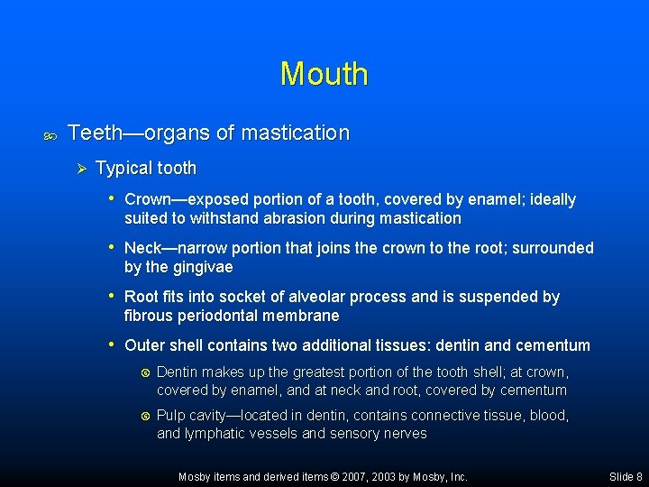 Chapter 25 Anatomy of the Digestive System Mosby