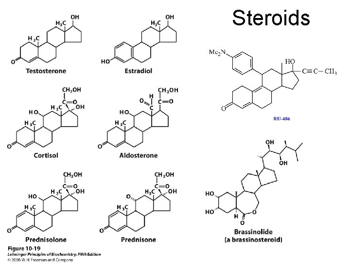 Chemistry 2100 Lecture 9 Carbohydrates Molecular formula CH