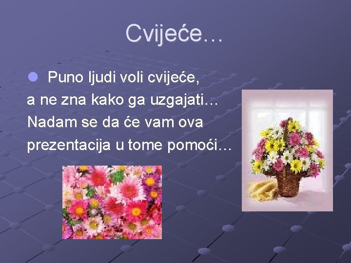 Cvijee Puno ljudi voli cvijee a ne zna