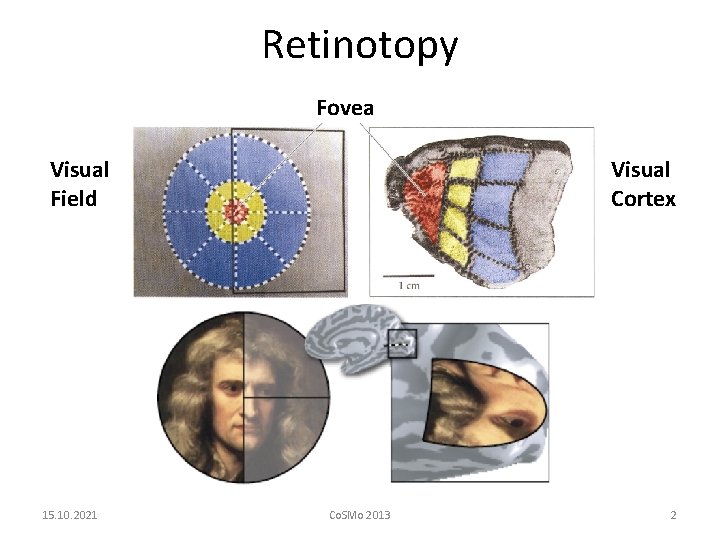 Image Reconstruction from Human Brain Activity Gaurav Aggarwal