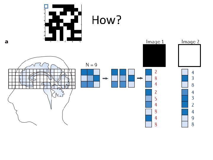 Image Reconstruction from Human Brain Activity Gaurav Aggarwal