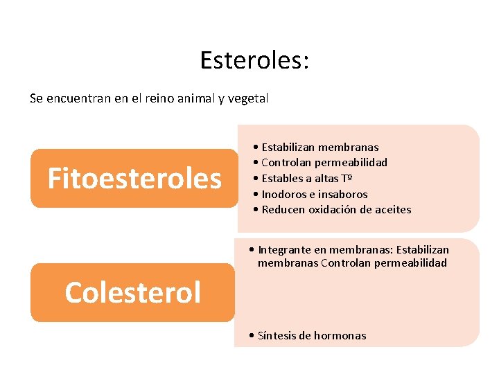 Gastronoma mencin Panadera y Repostera Mdulo Elaboracin de