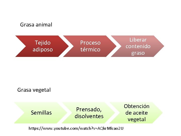 Gastronoma mencin Panadera y Repostera Mdulo Elaboracin de