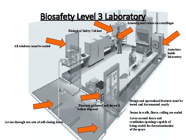 Biosafety and Bloodborne Pathogens GuidelinesRegulations Guidelines and ...