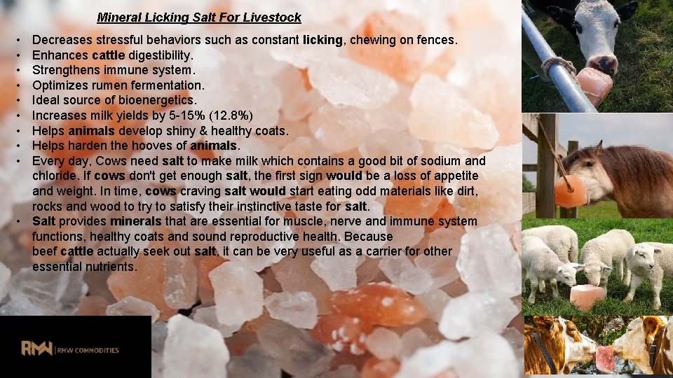 INTRODUCTION Salt is born of the purest of