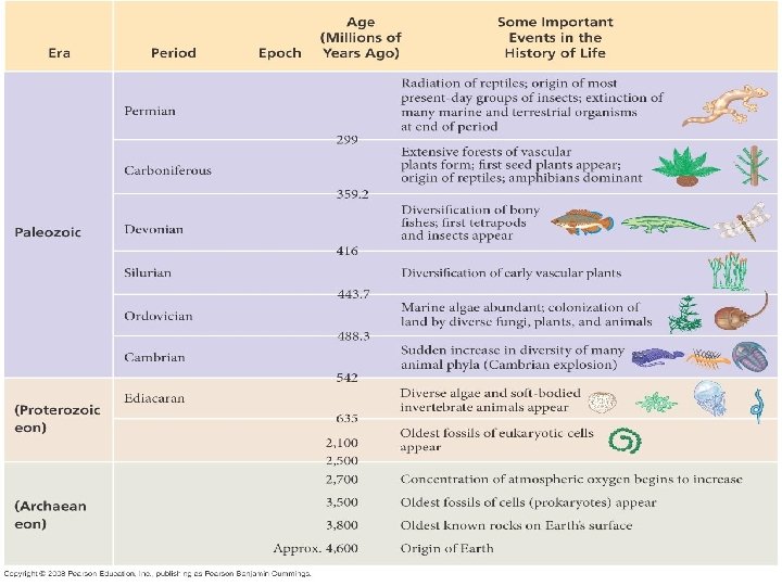 Historical Biogeography CH 7 Current Distribution Result of
