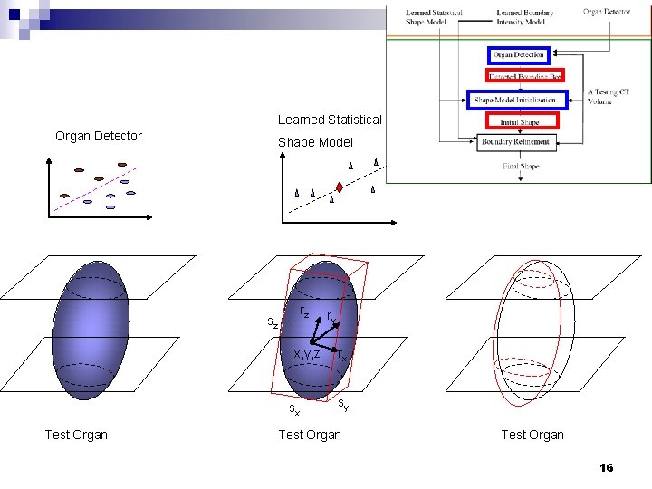 ModelBased Organ Segmentation in CT Scans JiunHung Chen