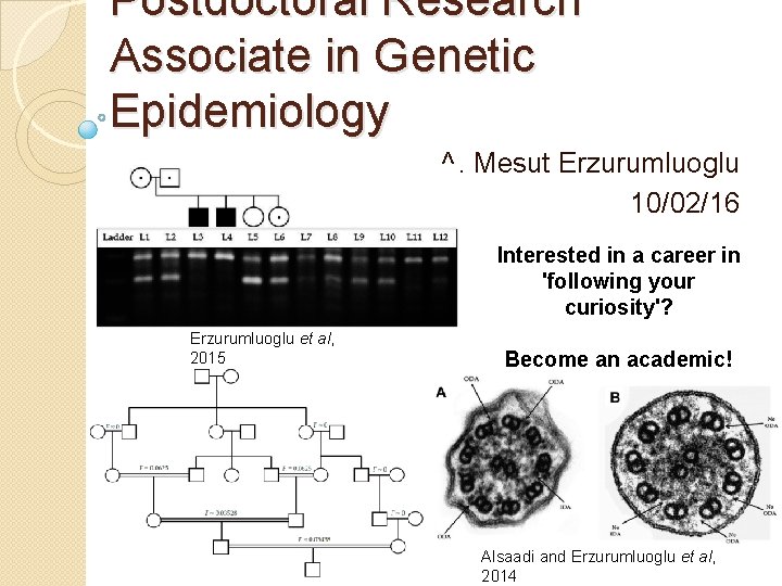 Postdoctoral Research Associate in Genetic Epidemiology A Mesut