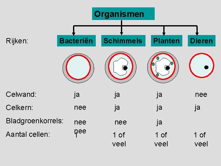 Ordening Biologie voor jou 1 MHV Organismen Rijken