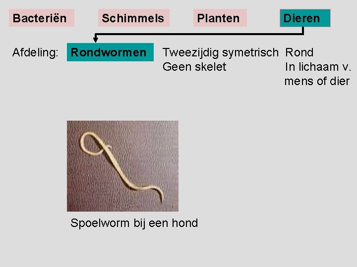 Ordening Biologie voor jou 1 MHV Organismen Rijken