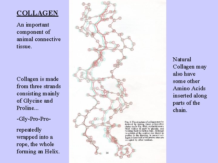 PROTEIN STRUCTURES To see some of these images