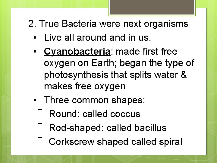 Origin of Life on Earth Classification of Life