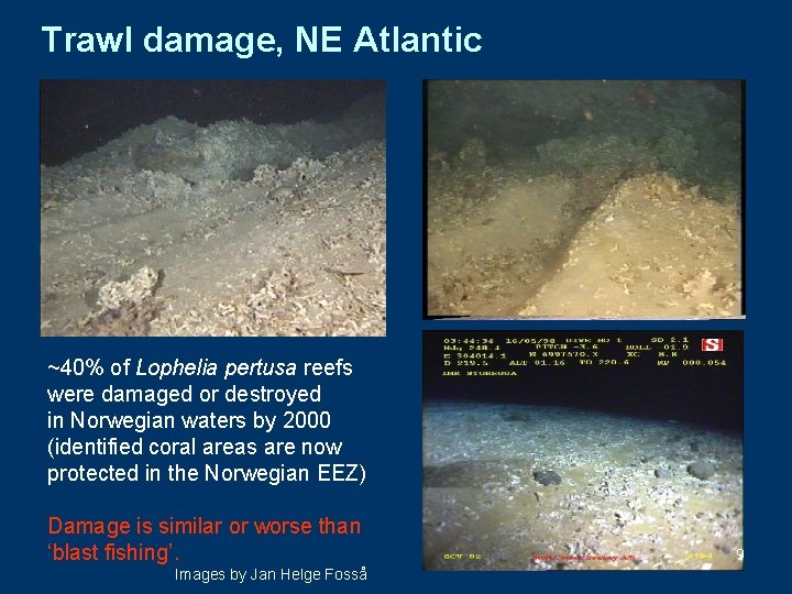 Protecting biodiversity of the deep sea Policy and